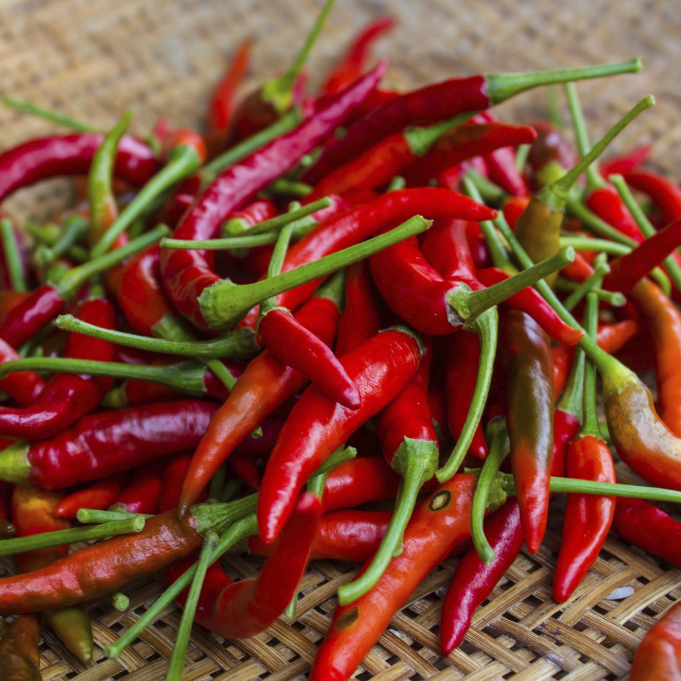 Video: growing chillies in Scotland | Scotsman Food and Drink