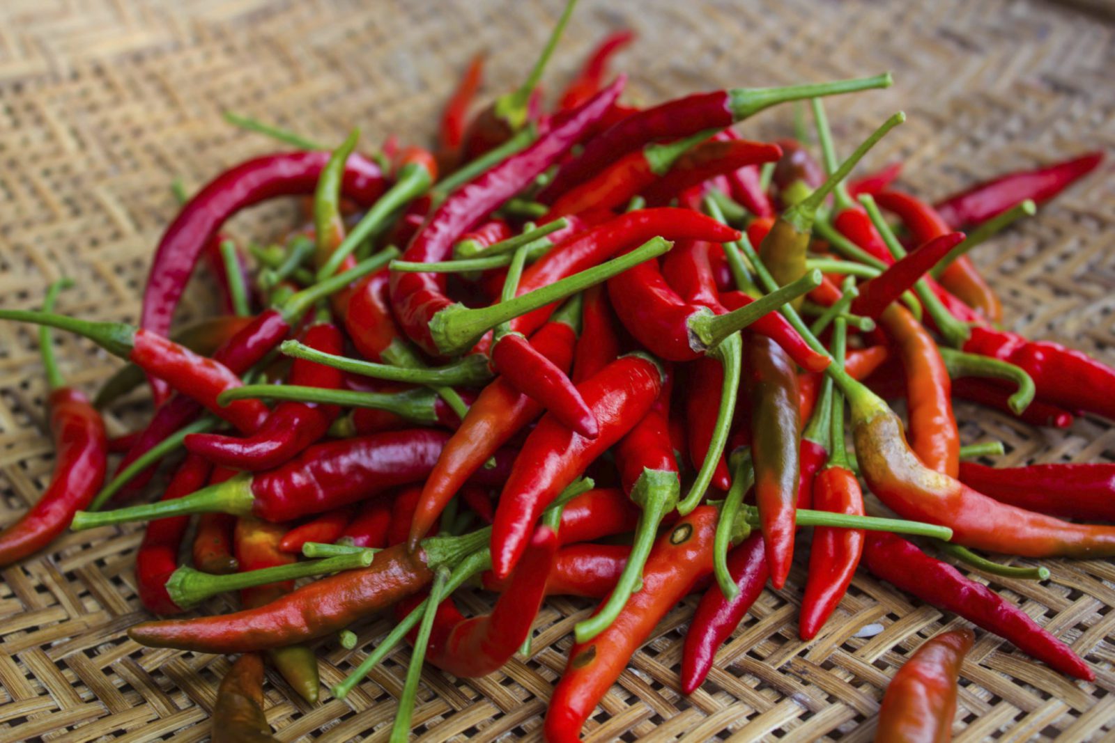Chilli, Spice & Everything Nice in Glasgow | Scotsman Food and Drink