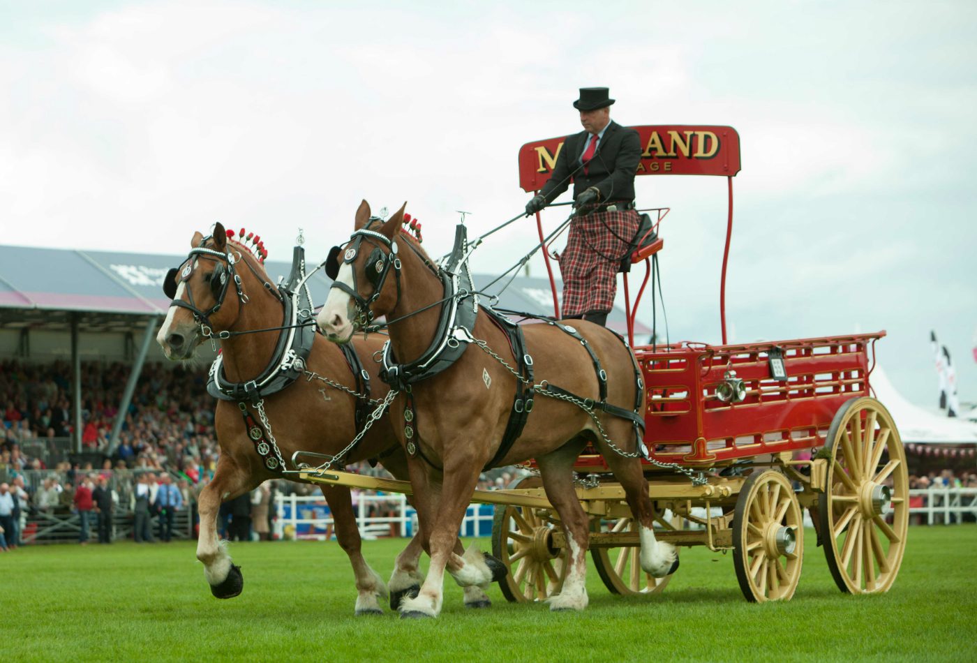 Everything you need to know about the Royal Highland Show: Updated for ...