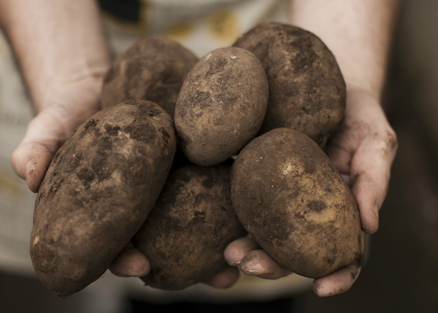 How to make the perfect homemade fish & chips | Scotsman Food and Drink