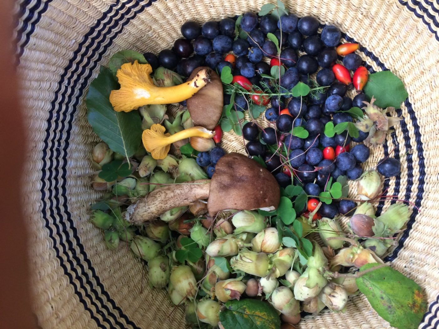 New foraging food festival to take place this autumn | Scotsman Food ...