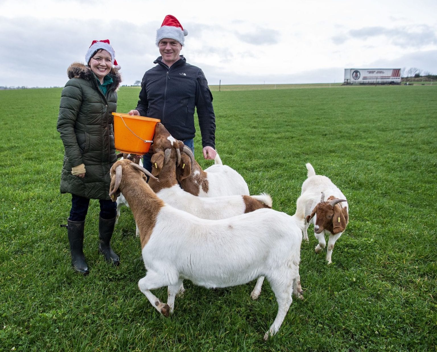 Scotland’s Larder: Jillian and Neil McEwan, from Lunan Bay Goat Farm ...