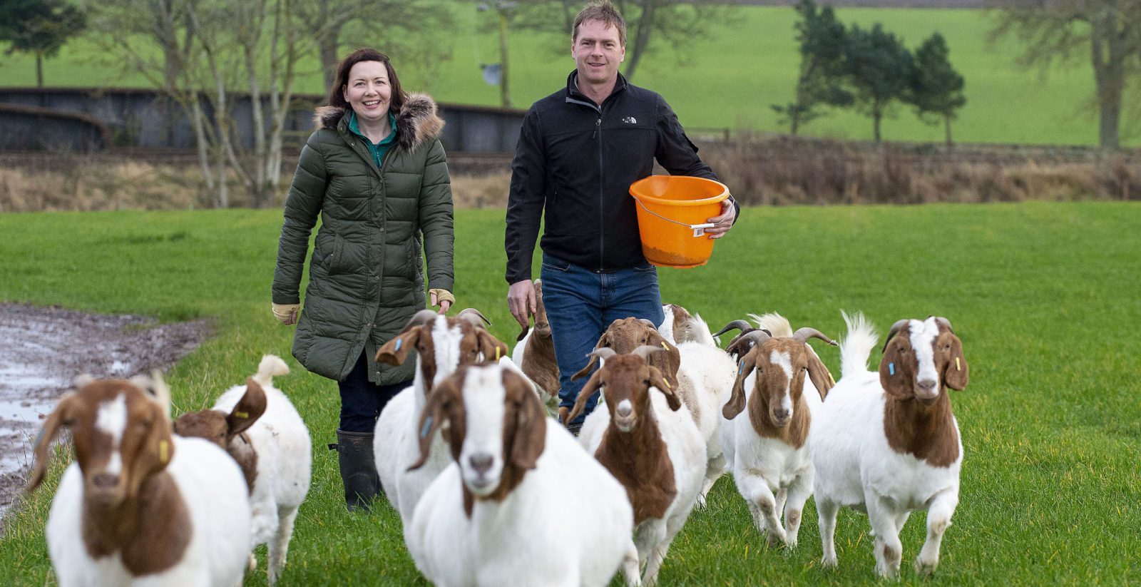 Scotland’s Larder: Jillian and Neil McEwan, from Lunan Bay Goat Farm ...