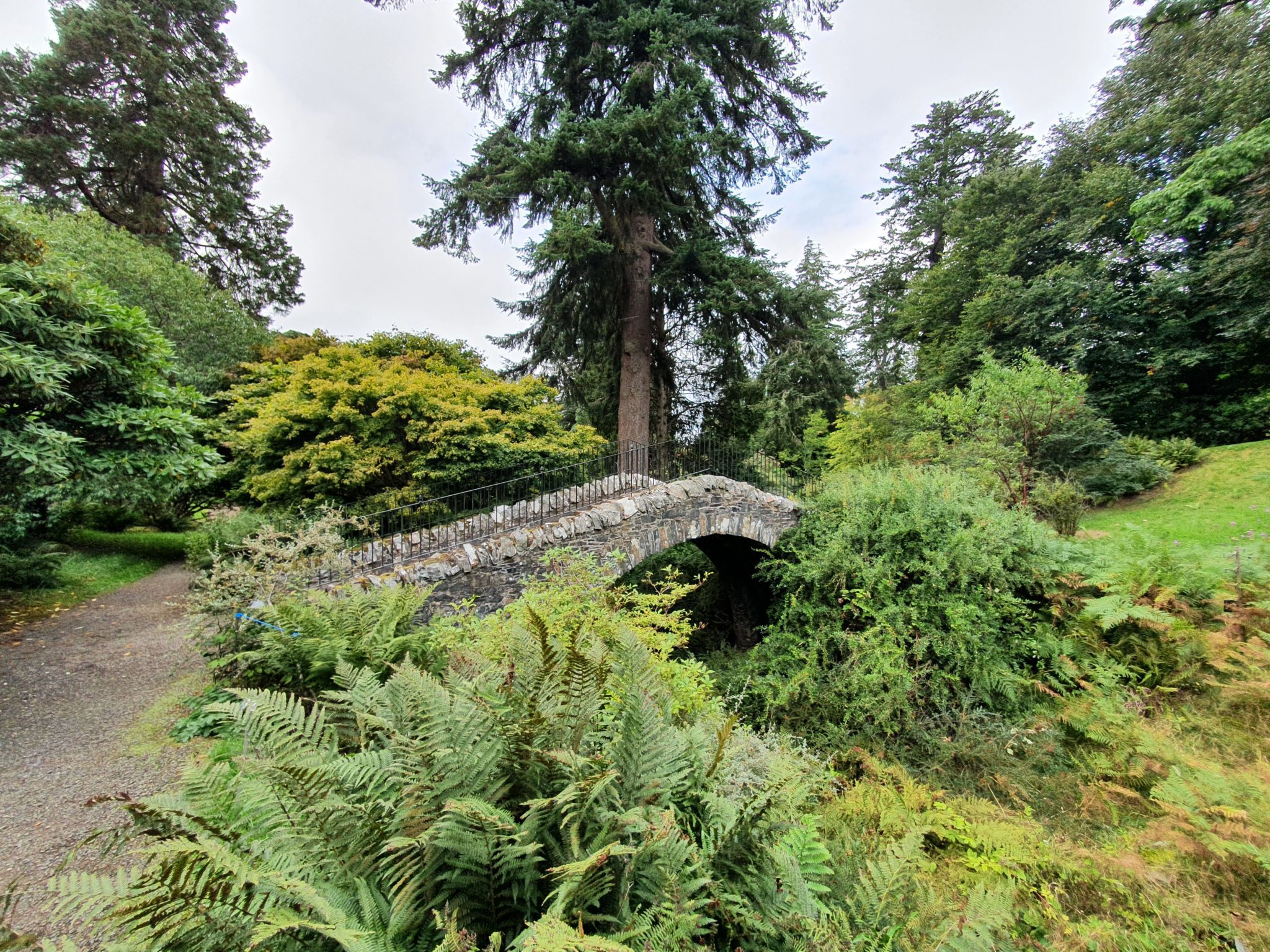 Dawyck Botanic Garden Cafe, Restaurant Review | Scotsman Food and Drink