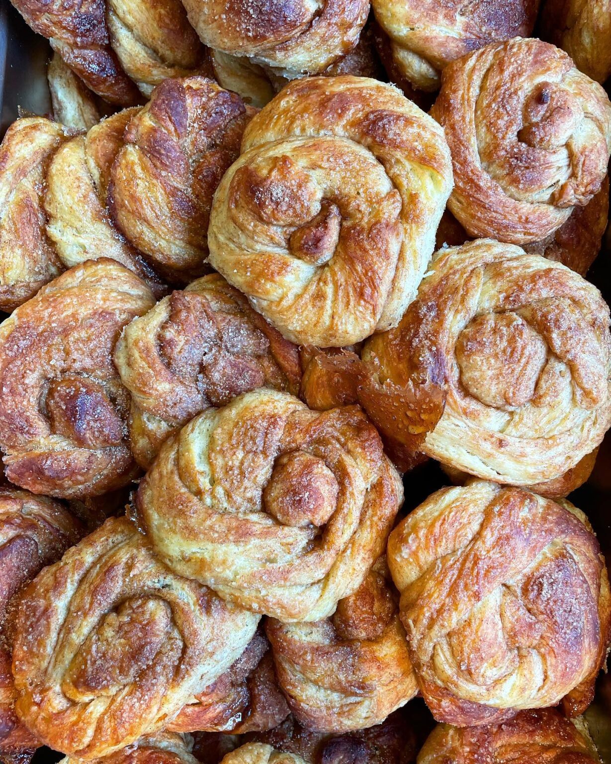 Right to Roam, Rothes golf club, review - go for the cinnamon butteries ...