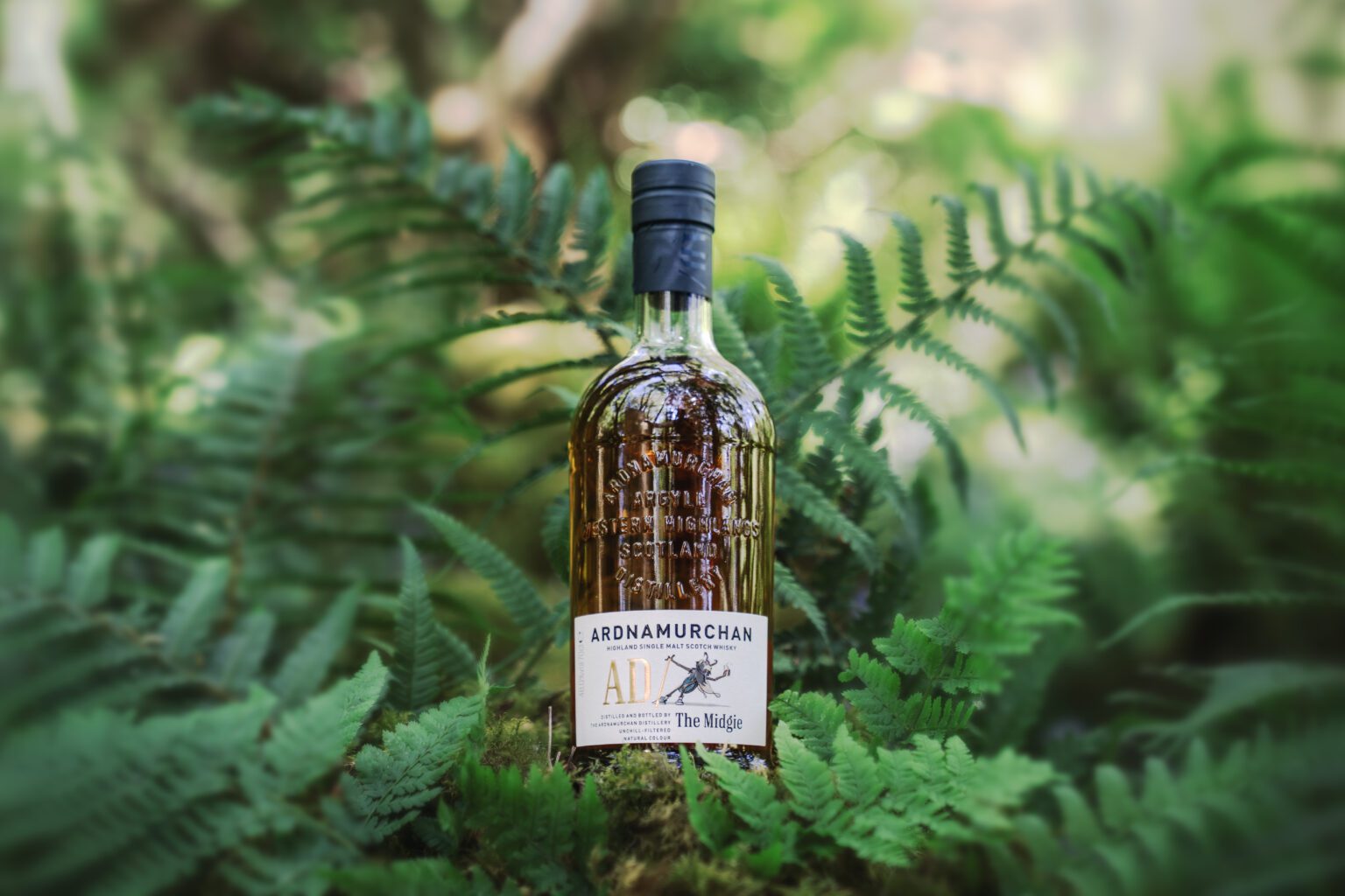 Ardnamurchan unveil ‘cheeky’ The Midgie whisky for 2025 | Scotsman Food ...