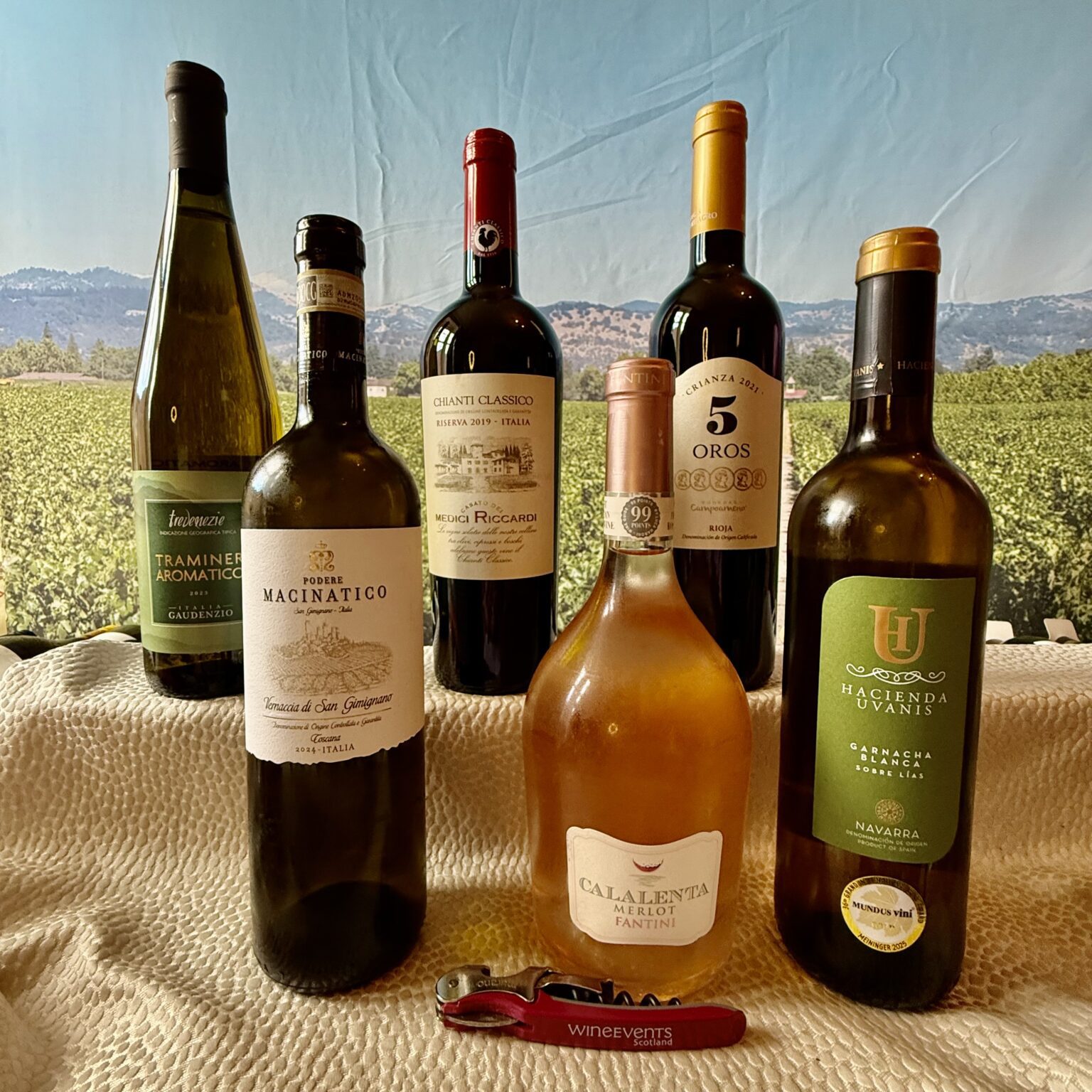 I tried Lidl's new Italian and Spanish wine tour wines - these three ...